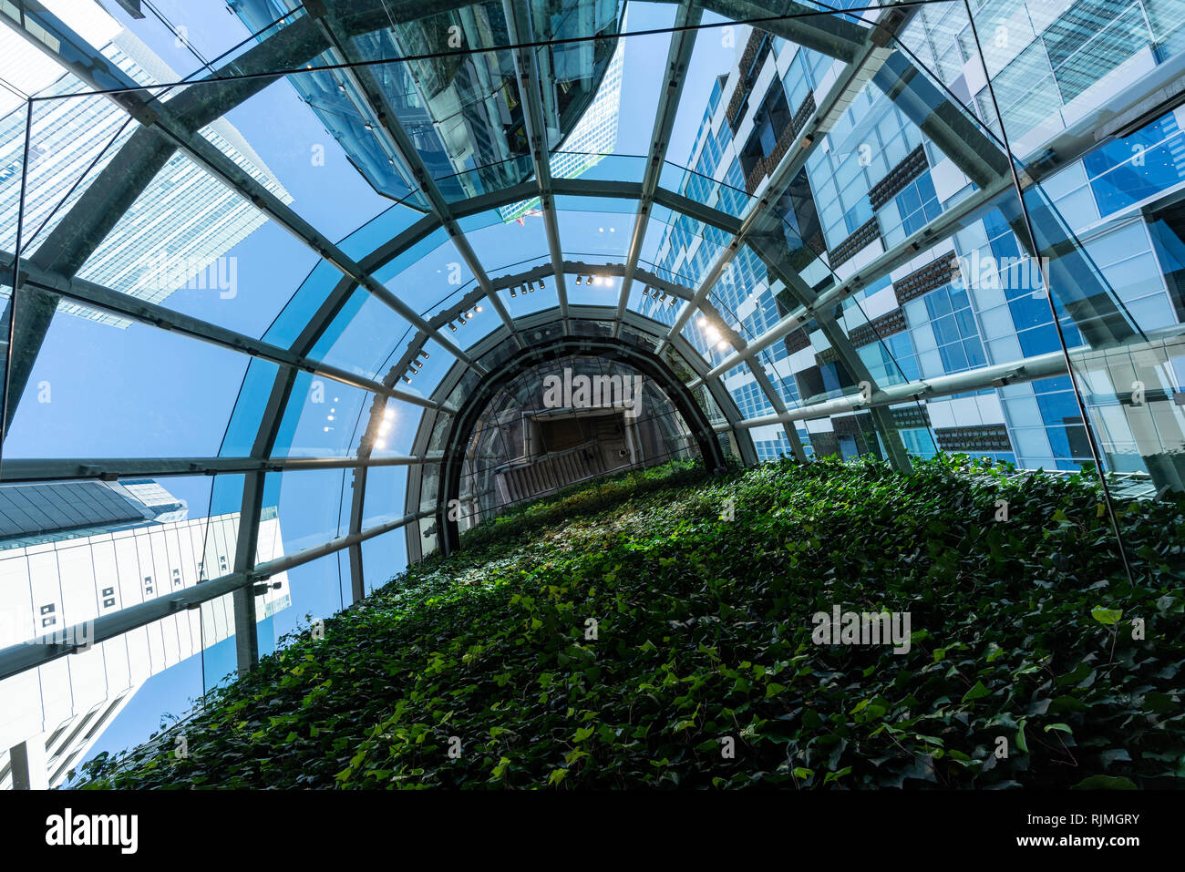 Shibuya stream japan hi-res stock photography and images - Alamy
