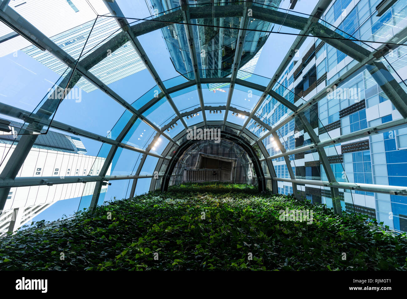 Shibuya stream building hi-res stock photography and images - Alamy