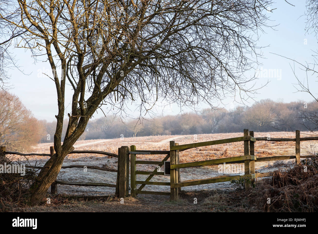 Ditchling common west sussex hi-res stock photography and images - Alamy