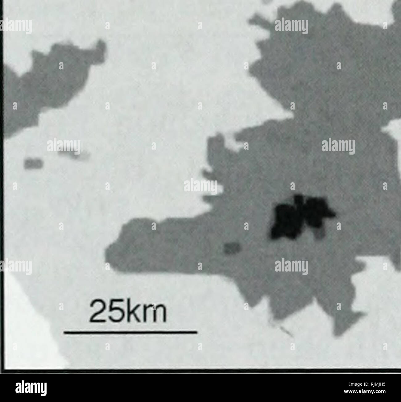 . The avifauna of Mt. Kitanglad, Bukidnon Province, Mindanao ...