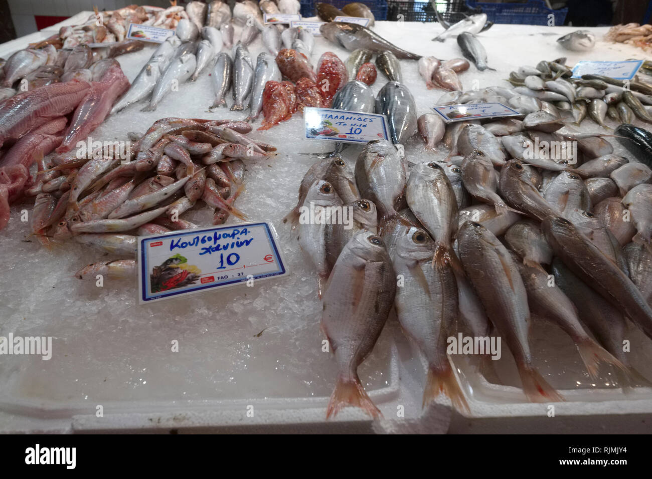 Many types of fresh fish on display in the covered market, Chnia, Crete ...