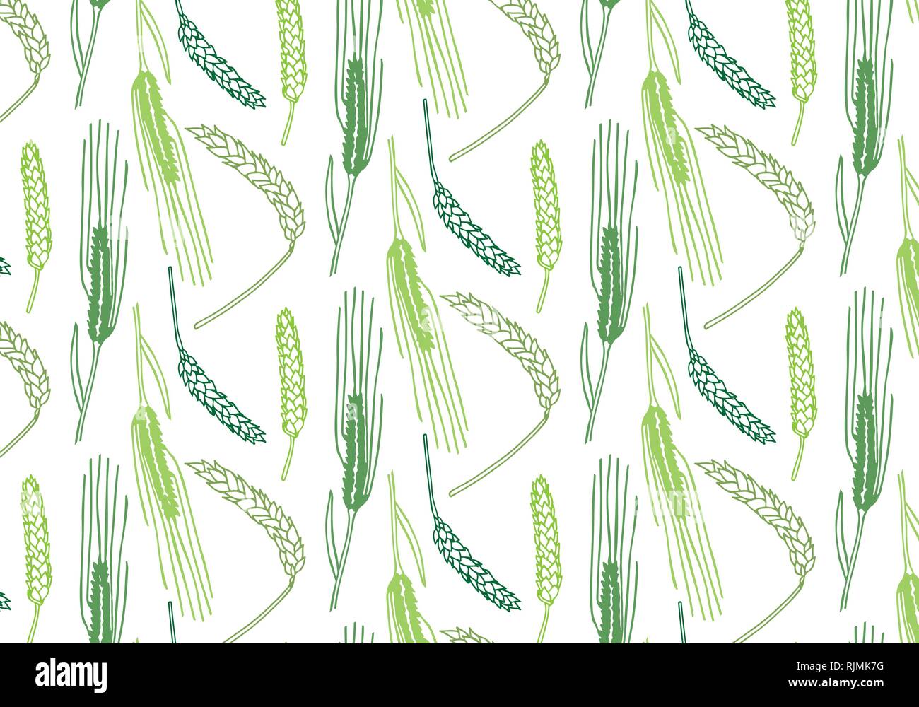 Hand drawn spring wheat vector pattern in green color palette on a ...