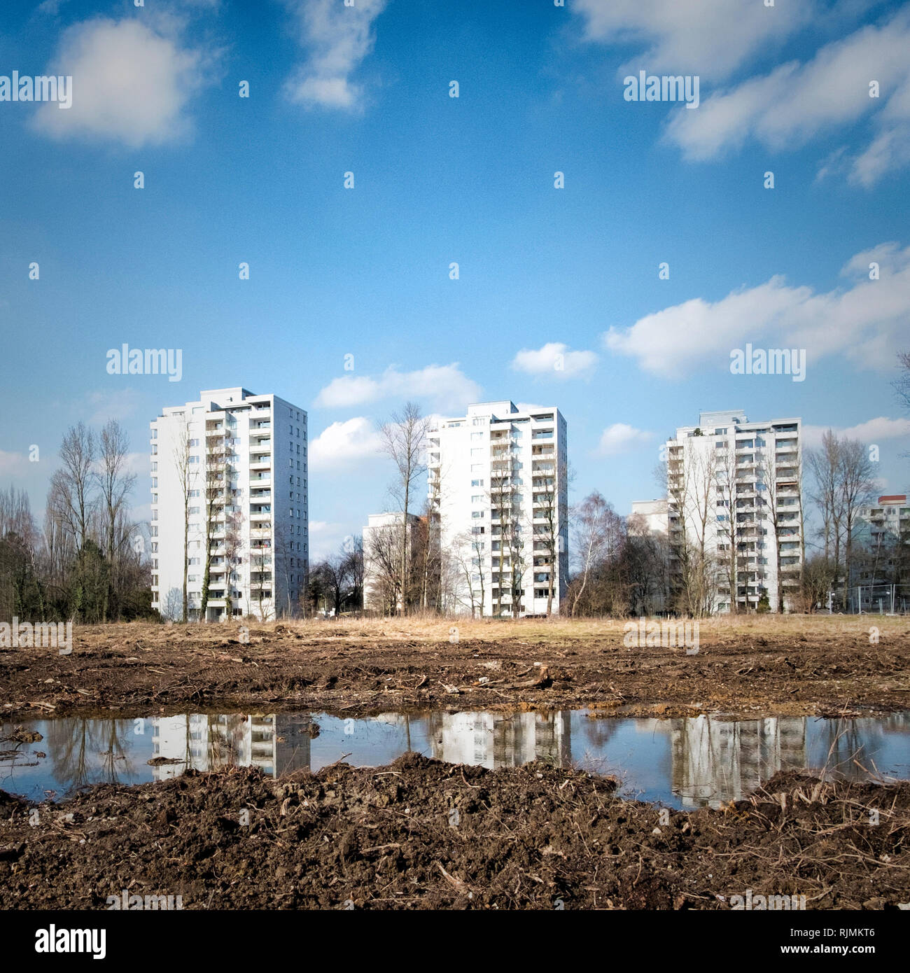 Brache hi-res stock photography and images - Alamy