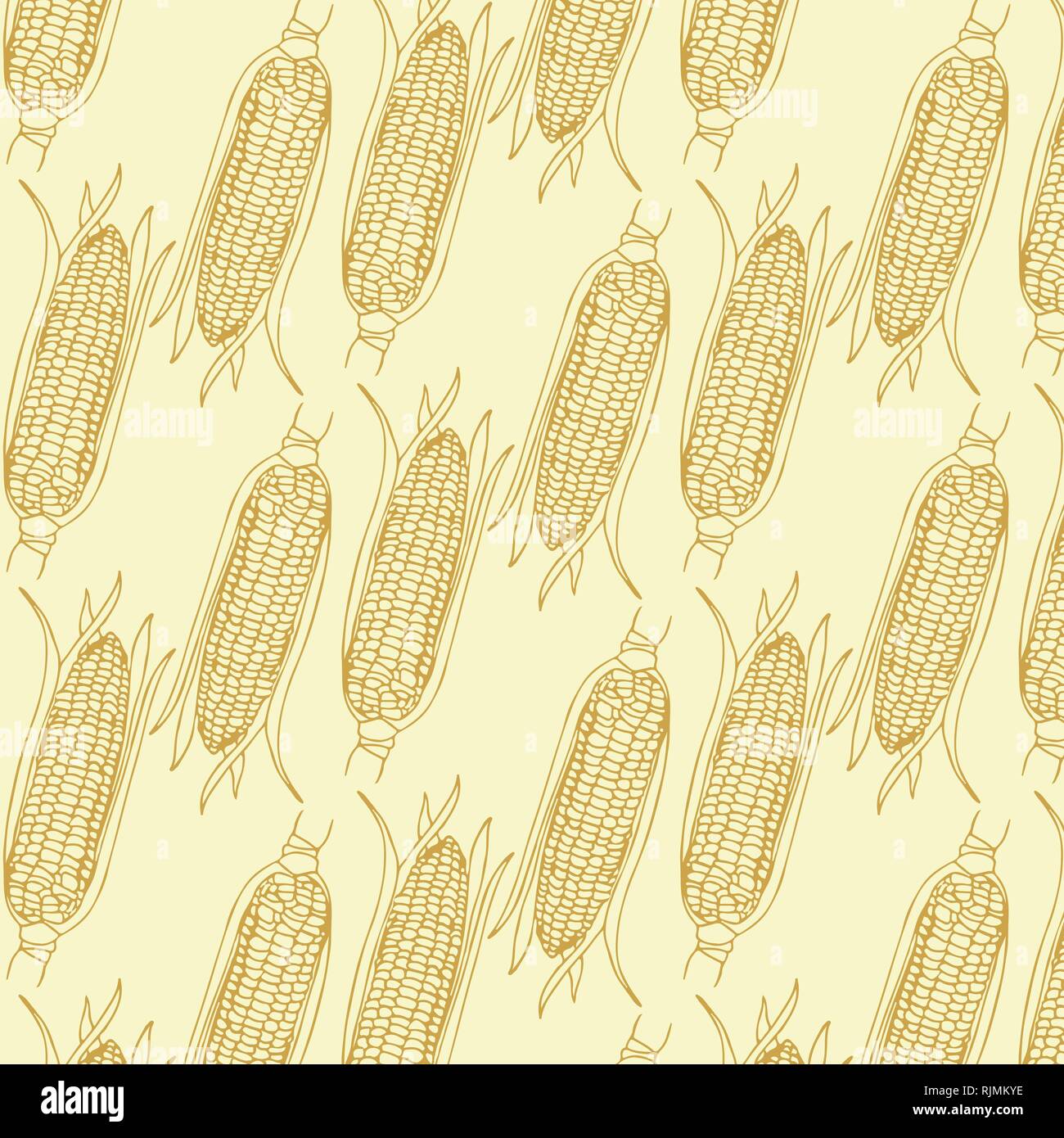 Corn grain vector vector vectors hi-res stock photography and images ...