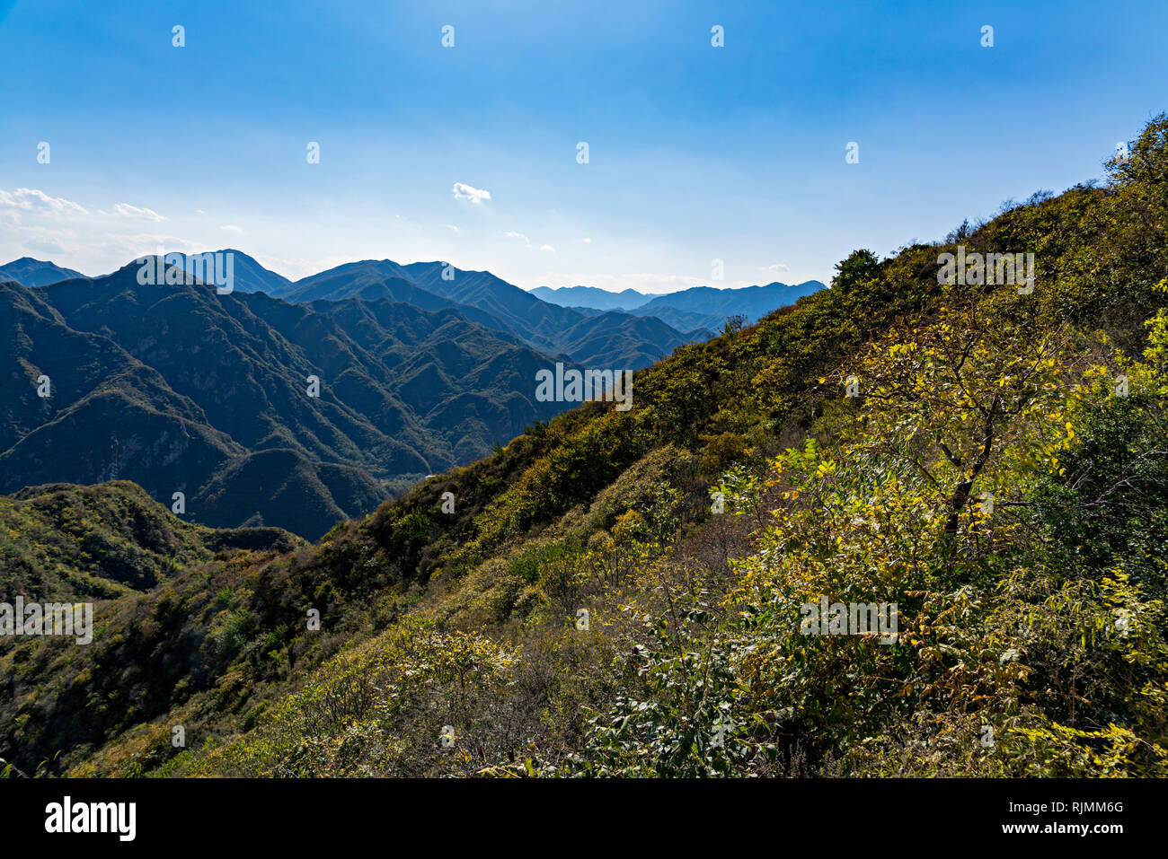 Valleys forest hi-res stock photography and images - Alamy