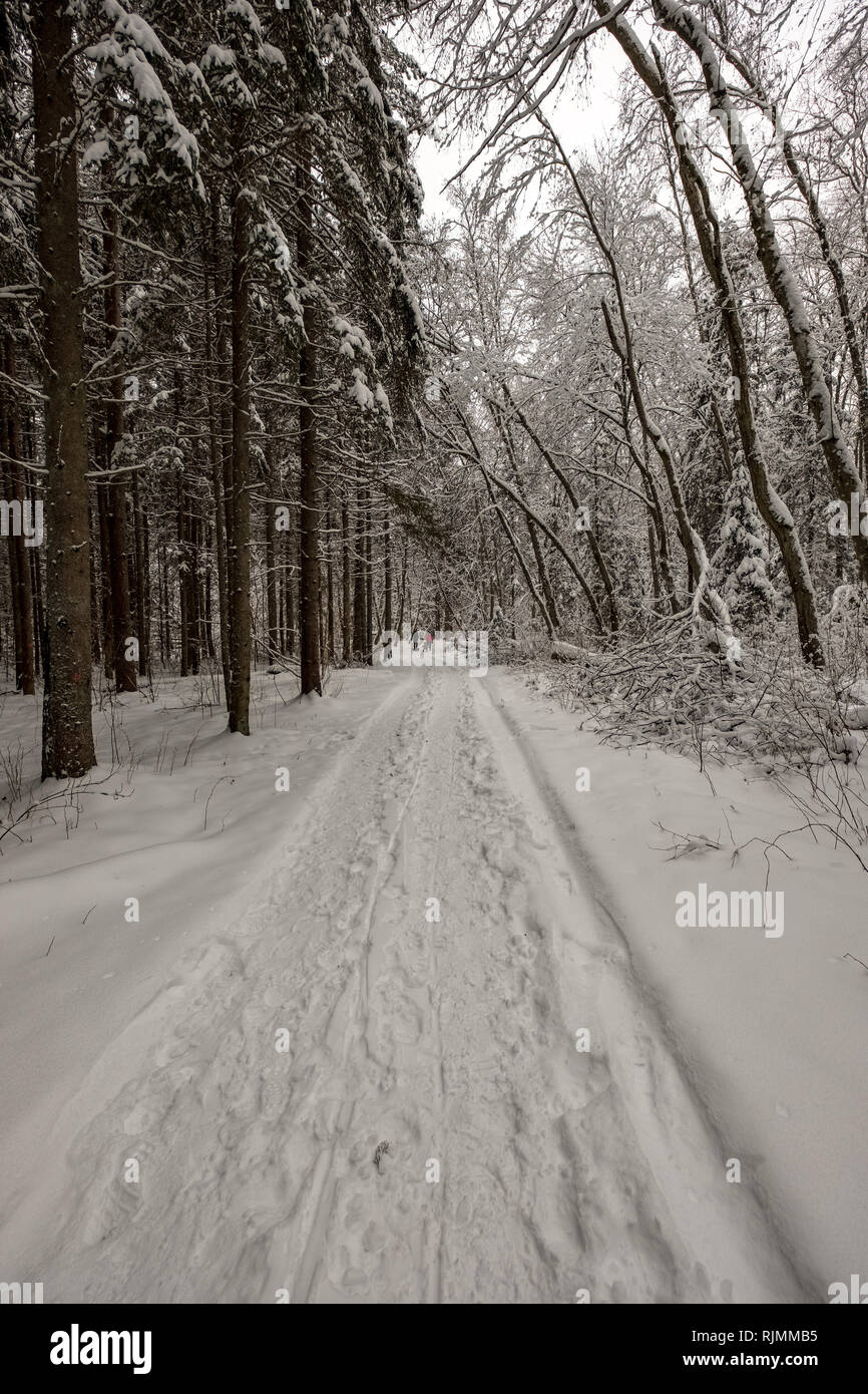deep snow covered road in winter with tire tracks Stock Photo - Alamy