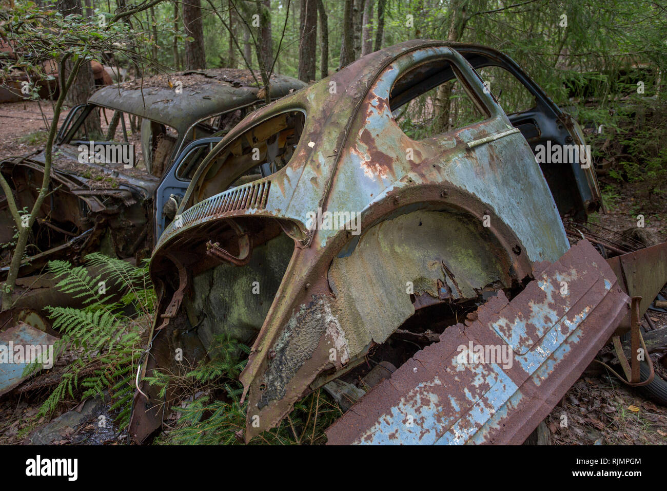 Vintage cars abandoned in scrap hi-res stock photography and images - Alamy