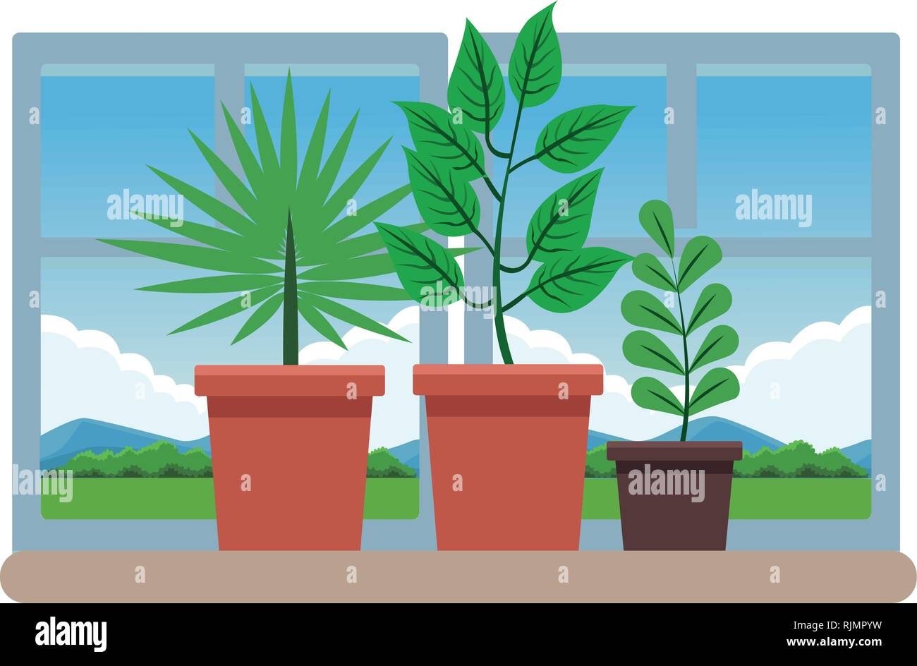 Gardening design window plants Stock Vector Images - Alamy
