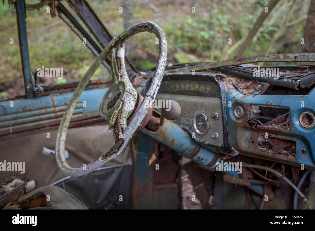 Steering wheel of old vintage rusted car at a scrap yard at a forest in ...