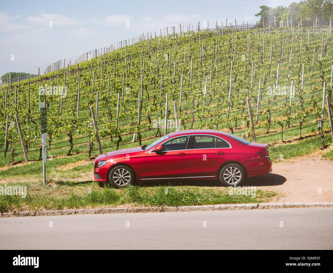 Grape Cultivation High Resolution Stock Photography and Images - Alamy