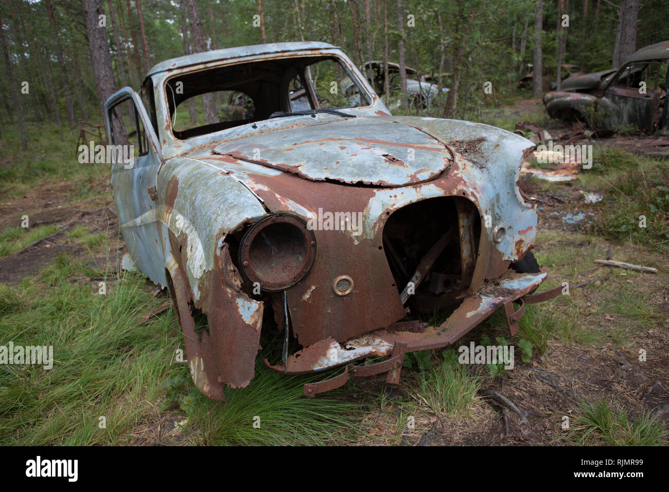 Old vintage rusted cars at a scrap yard at a forest in Ryd, Kyrko Mosse ...