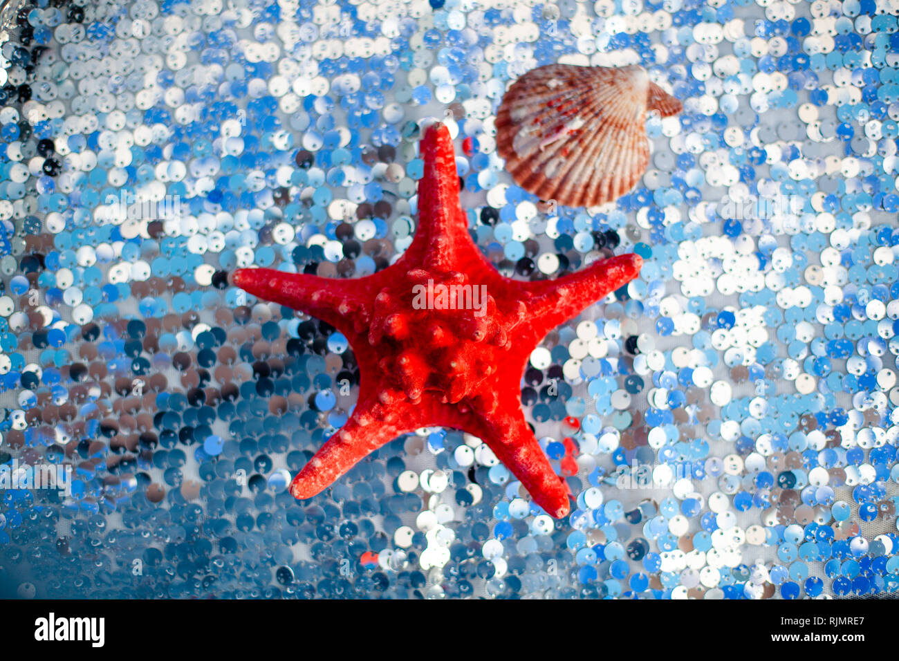 Dried red sea starfish on cian silver cloth background Stock Photo - Alamy