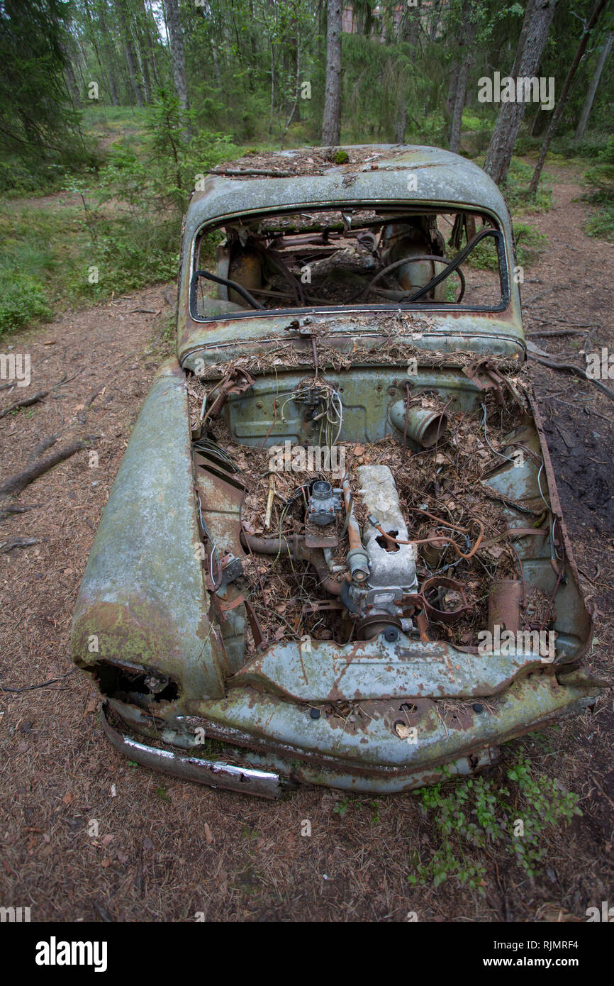 Old vintage rusted cars at a scrap yard at a forest in Ryd, Kyrko Mosse ...