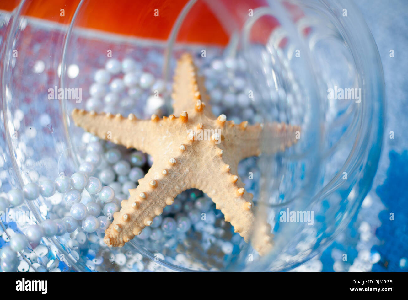 Dried red sea starfish on cian silver cloth background Stock Photo - Alamy