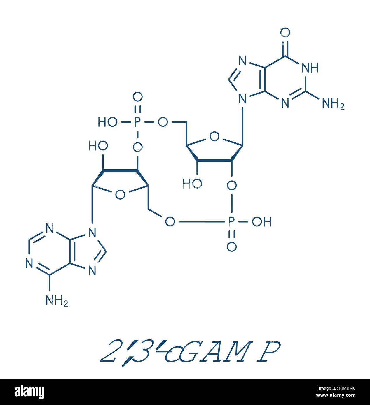 Cyclic guanosine monophosphate–adenosine monophosphate (2',3'-cGAMP ...