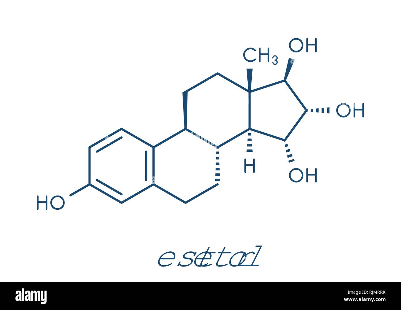 Estrogen Molecule