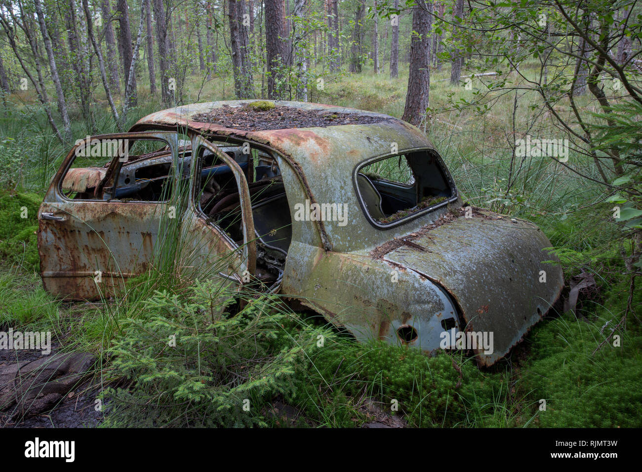 Old vintage rusted cars at a scrap yard at a forest in Ryd, Kyrko Mosse ...