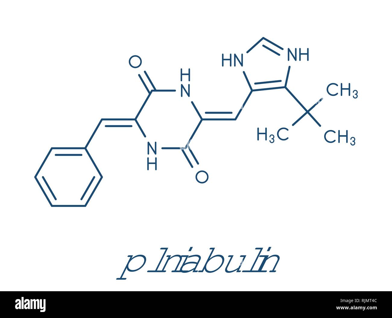 Mitotic spindle Stock Vector Images - Alamy