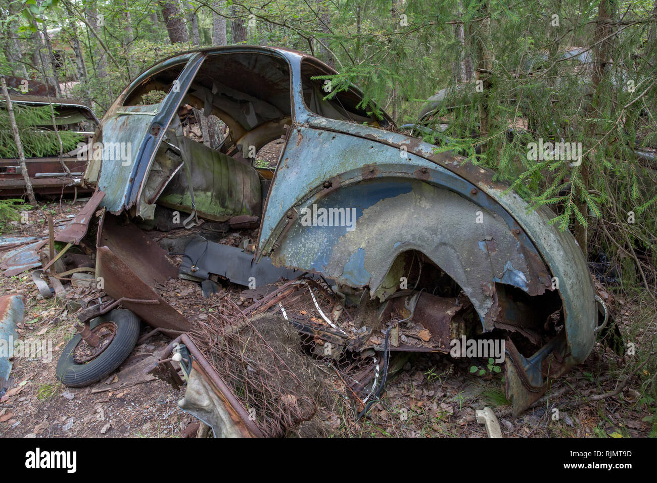 Old vintage rusted cars at a scrap yard at a forest in Ryd, Kyrko Mosse ...