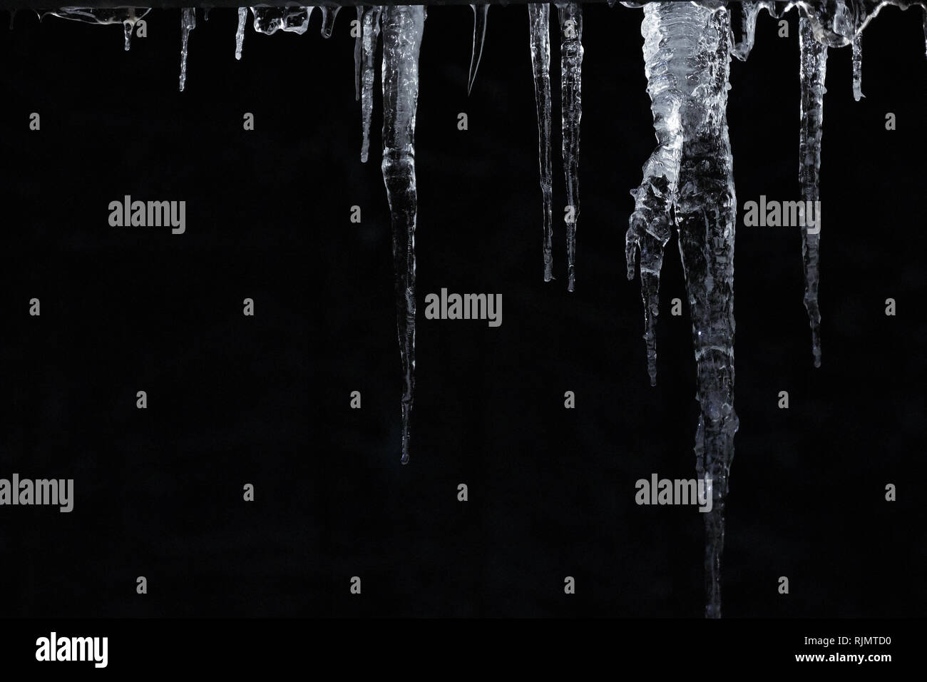 number of natural icicles on a black background. frozen water in winter ...