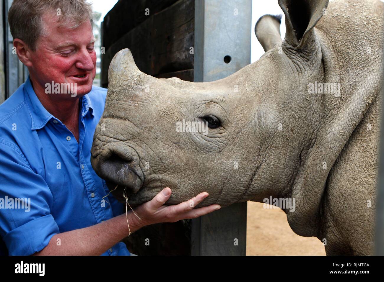 Passionate about rhinos hi-res stock photography and images - Alamy