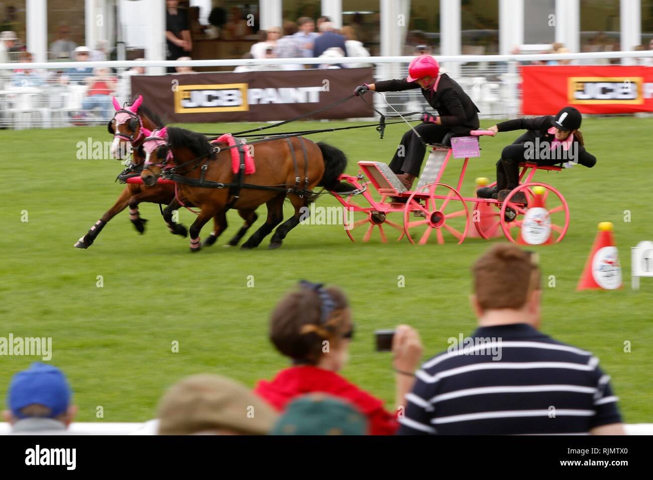 Scurry pony hi-res stock photography and images - Alamy