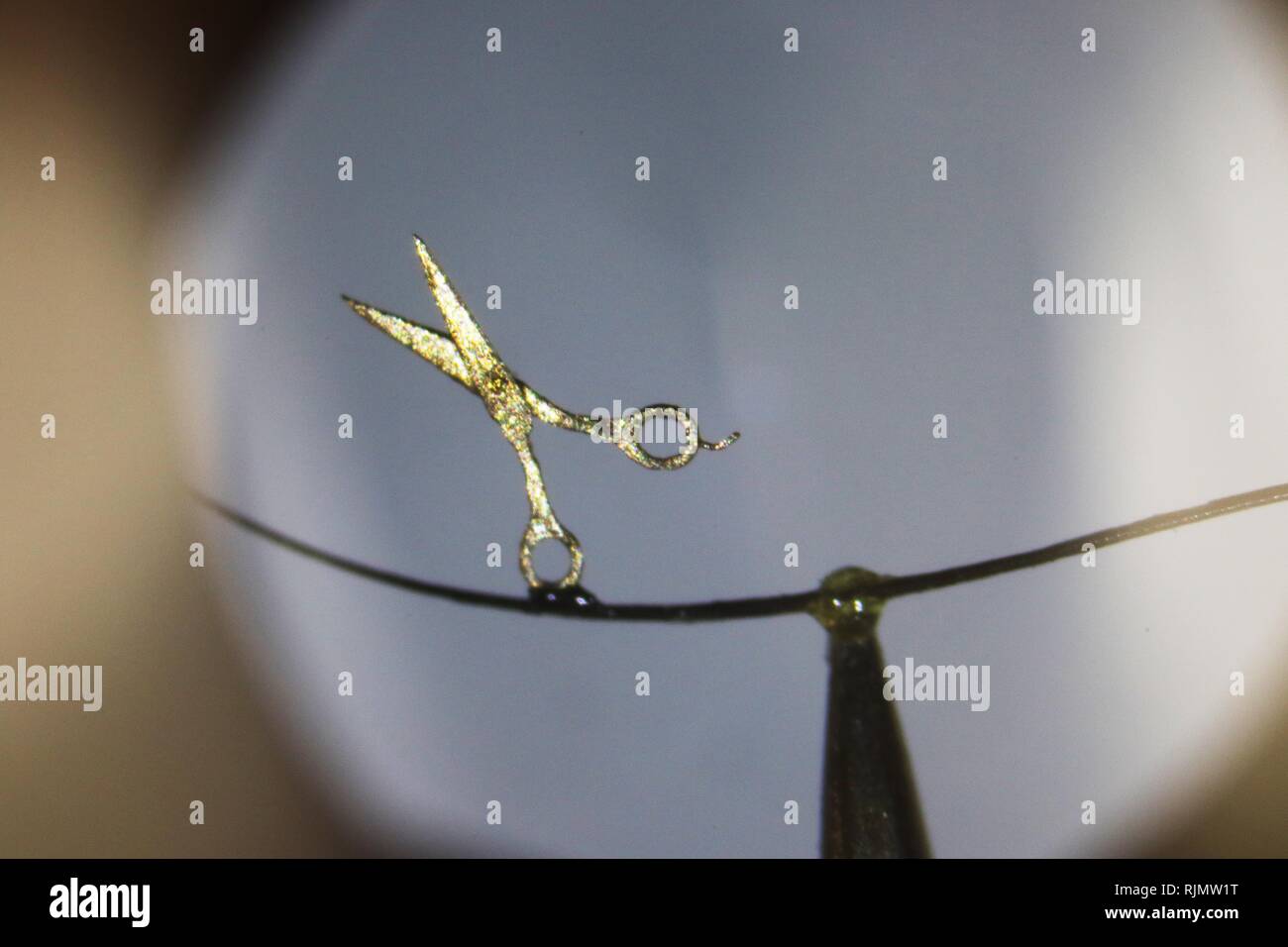 Microscopic sculptures hi-res stock photography and images - Alamy