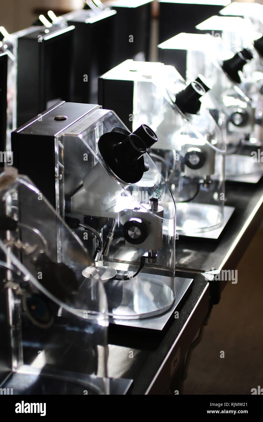 Micro artist Willard Wigan MBE who makes sculptures which fit within ...