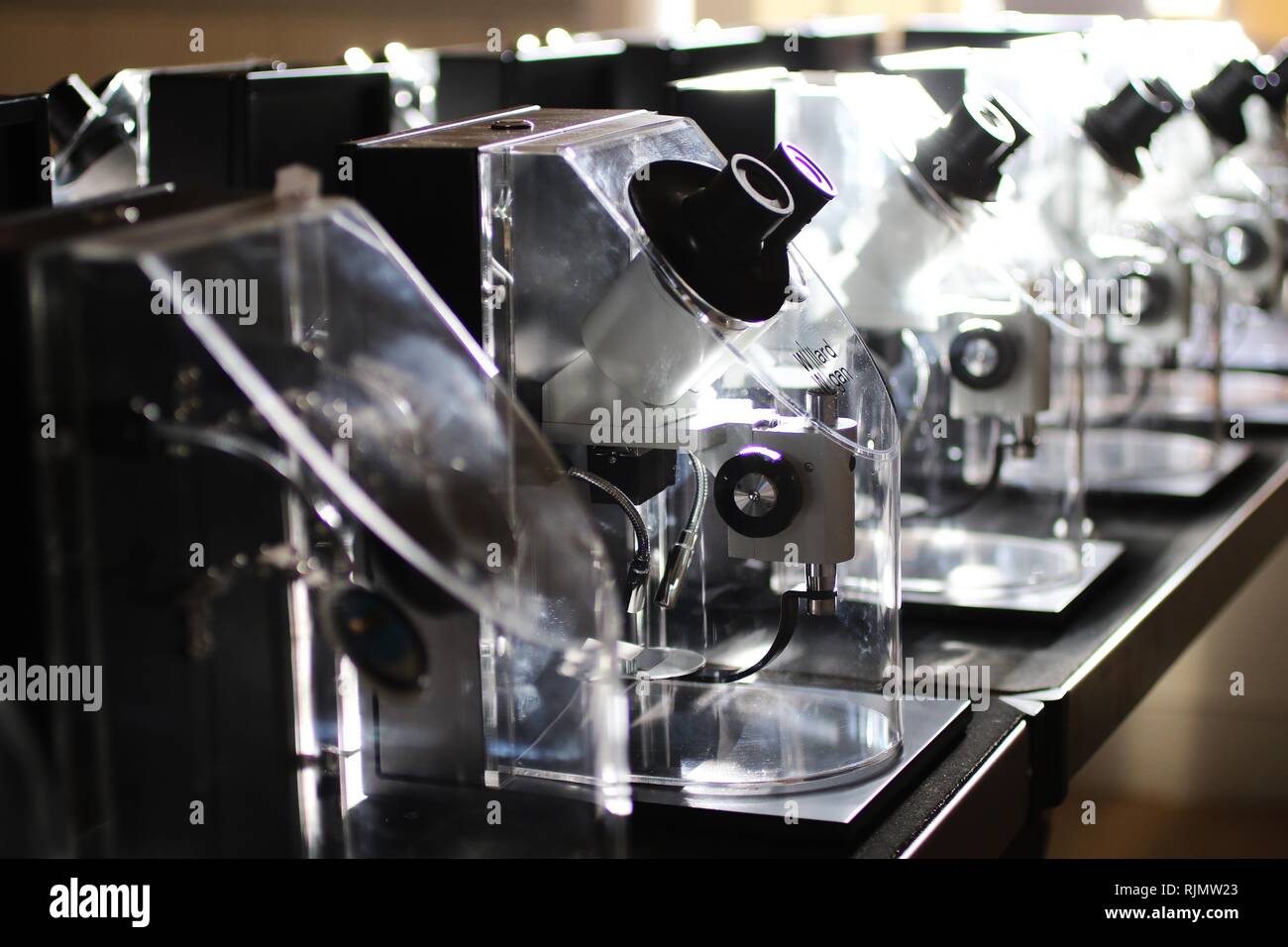 Micro artist Willard Wigan MBE who makes sculptures which fit within ...