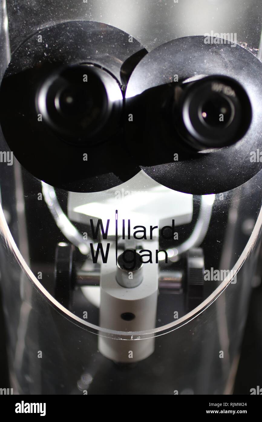 Micro artist Willard Wigan MBE who makes sculptures which fit within ...