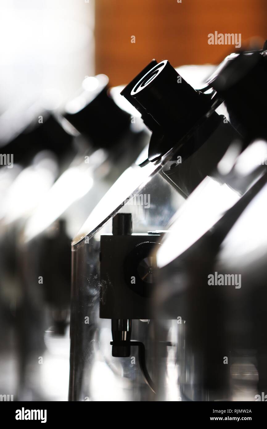 Micro artist Willard Wigan MBE who makes sculptures which fit within ...