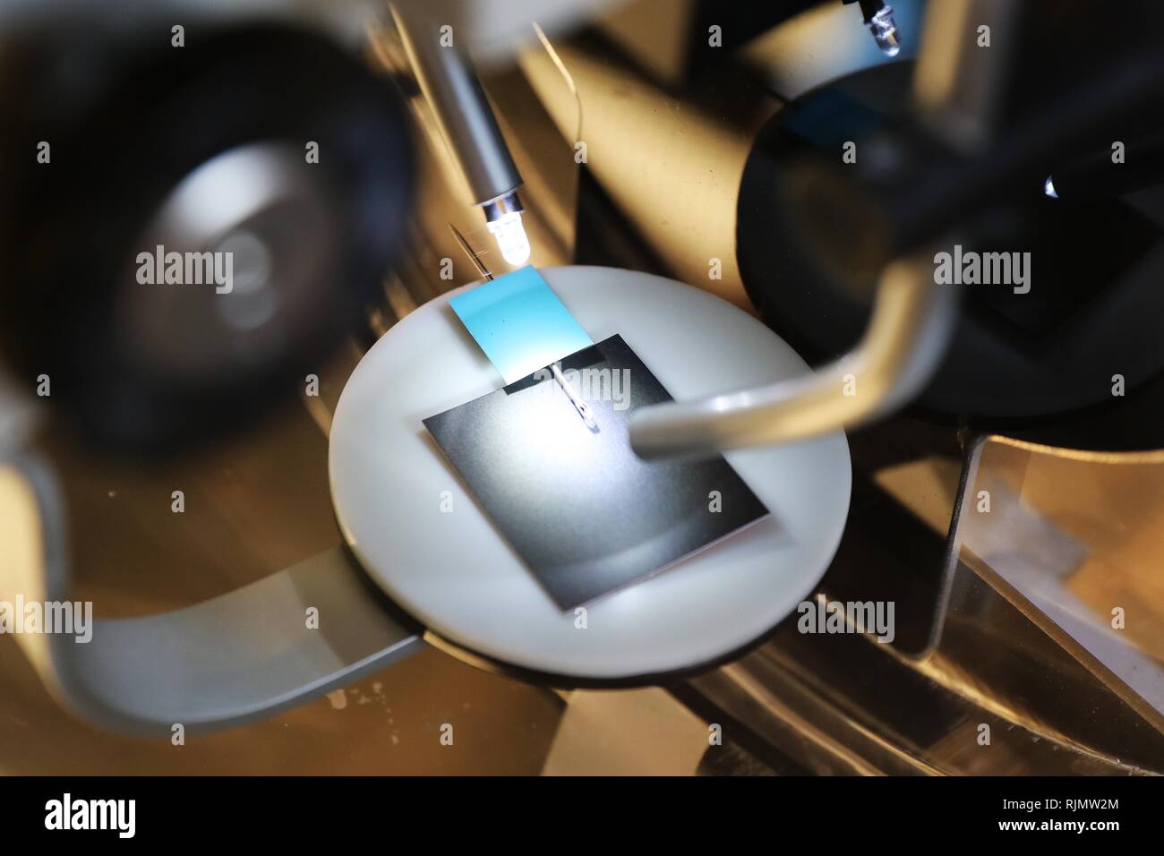 Micro artist Willard Wigan MBE who makes sculptures which fit within ...