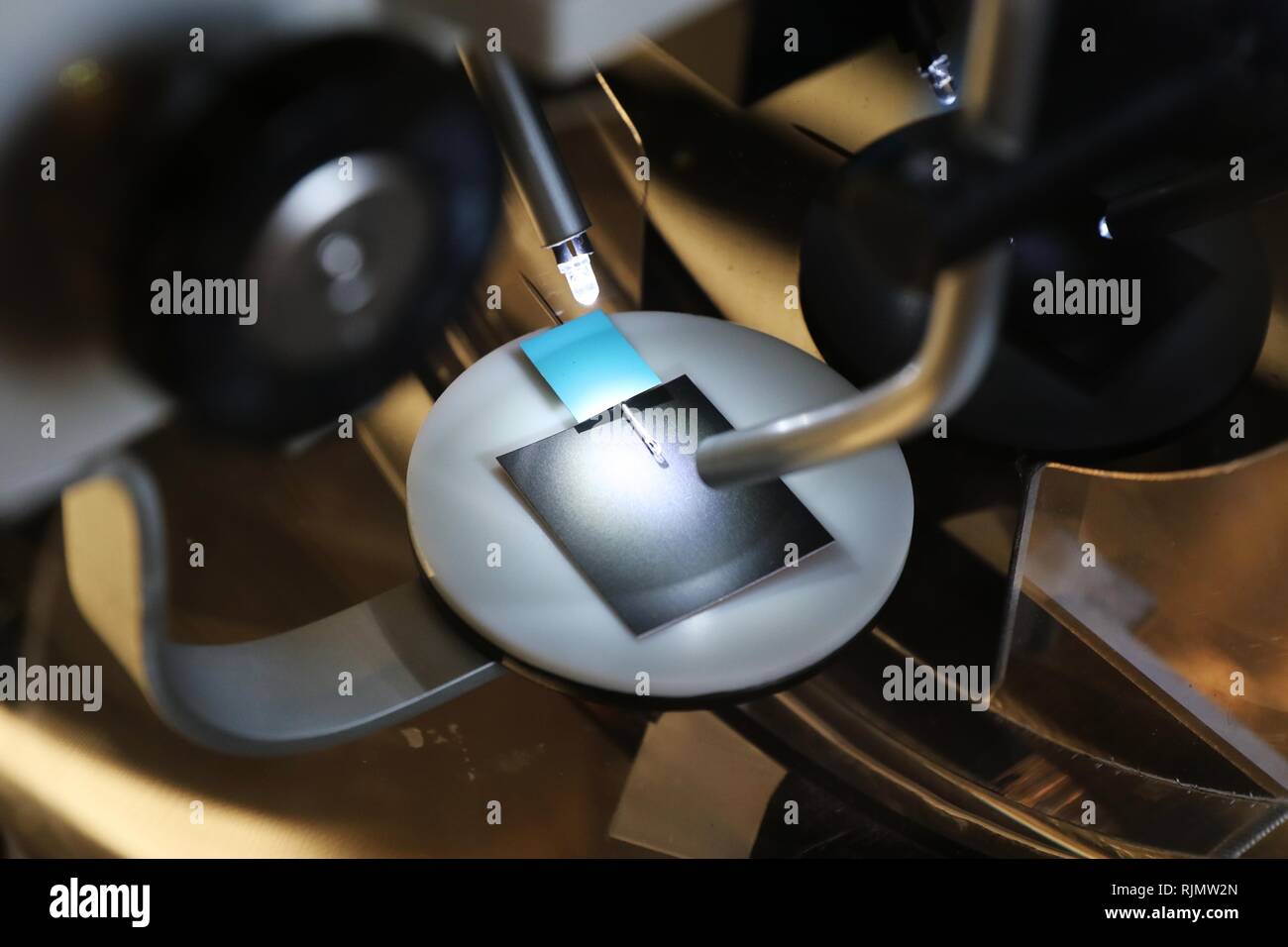 Micro artist Willard Wigan MBE who makes sculptures which fit within ...