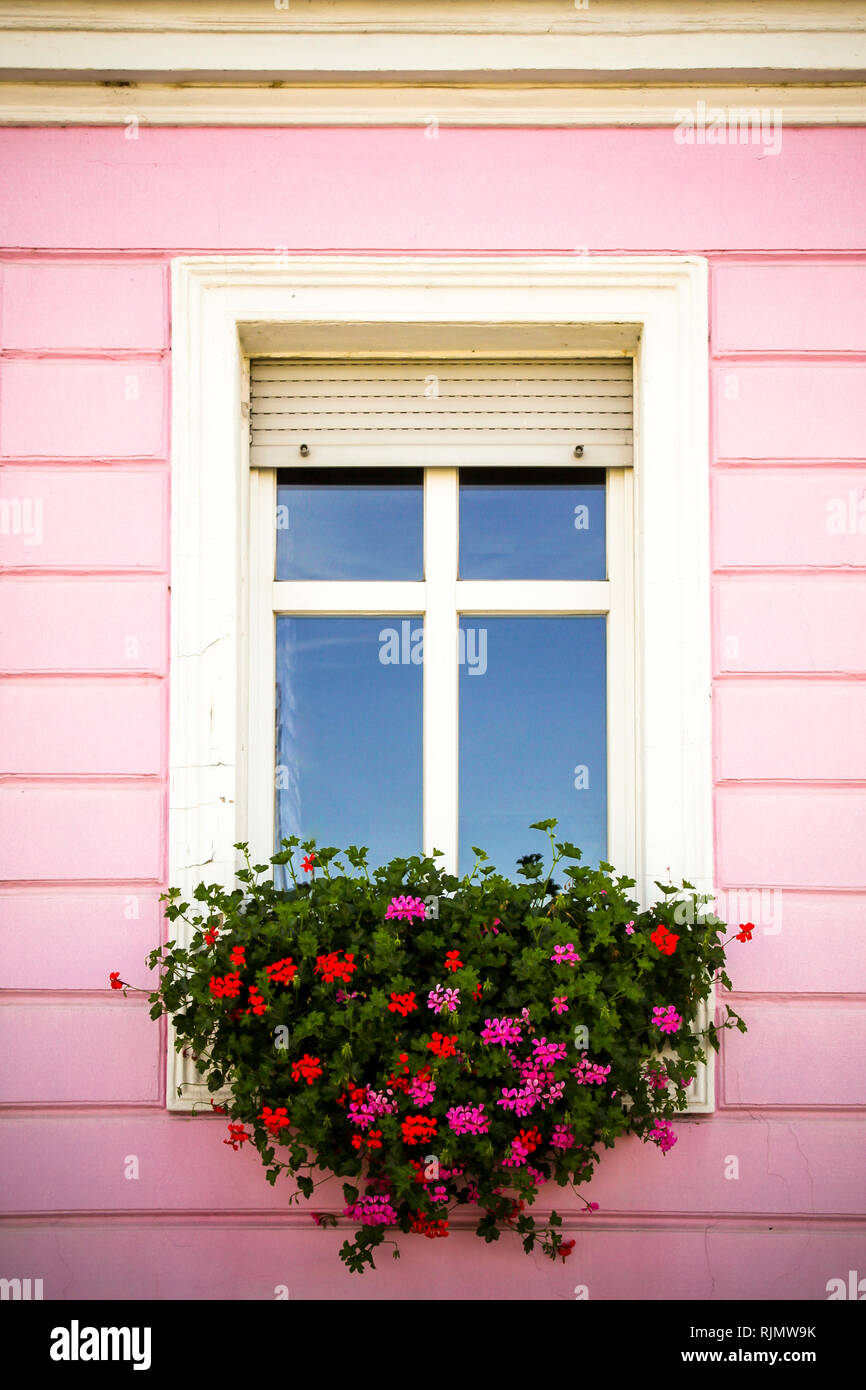 Vintage traditional glass window decorated with white wood frame and ...