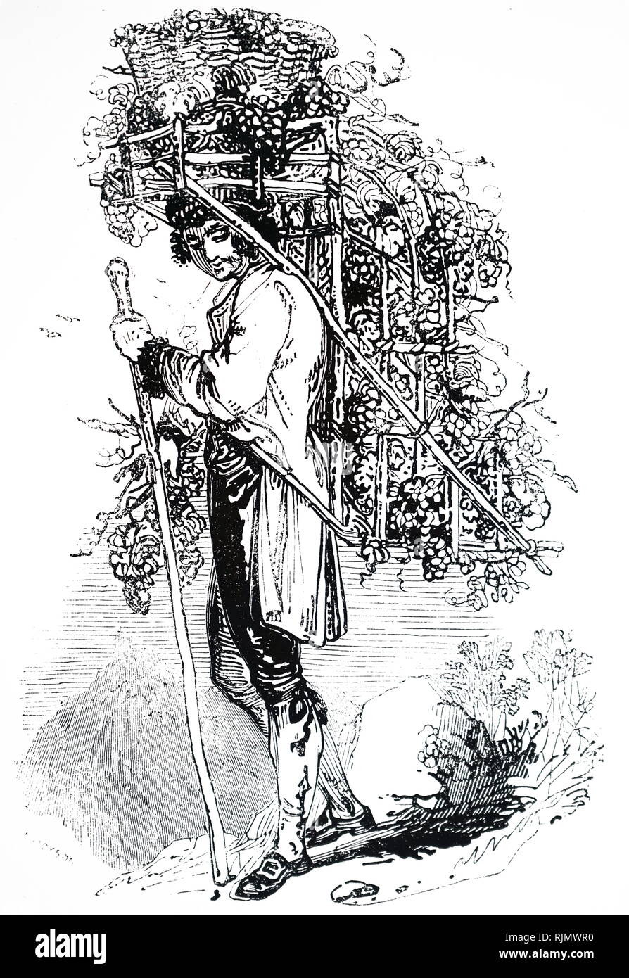 An engraving depicting Tyrolean farmer gathering grape harvest 1835 ...