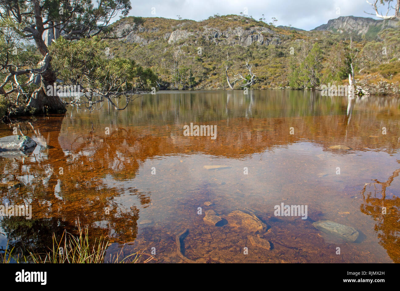 Wombat pool hi-res stock photography and images - Alamy