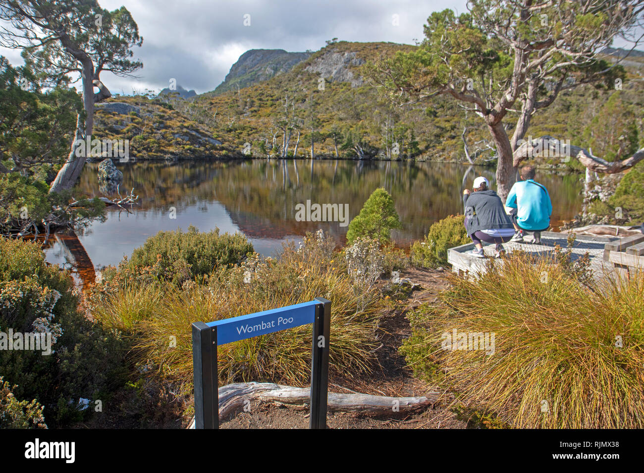 Wombat pool hi-res stock photography and images - Alamy