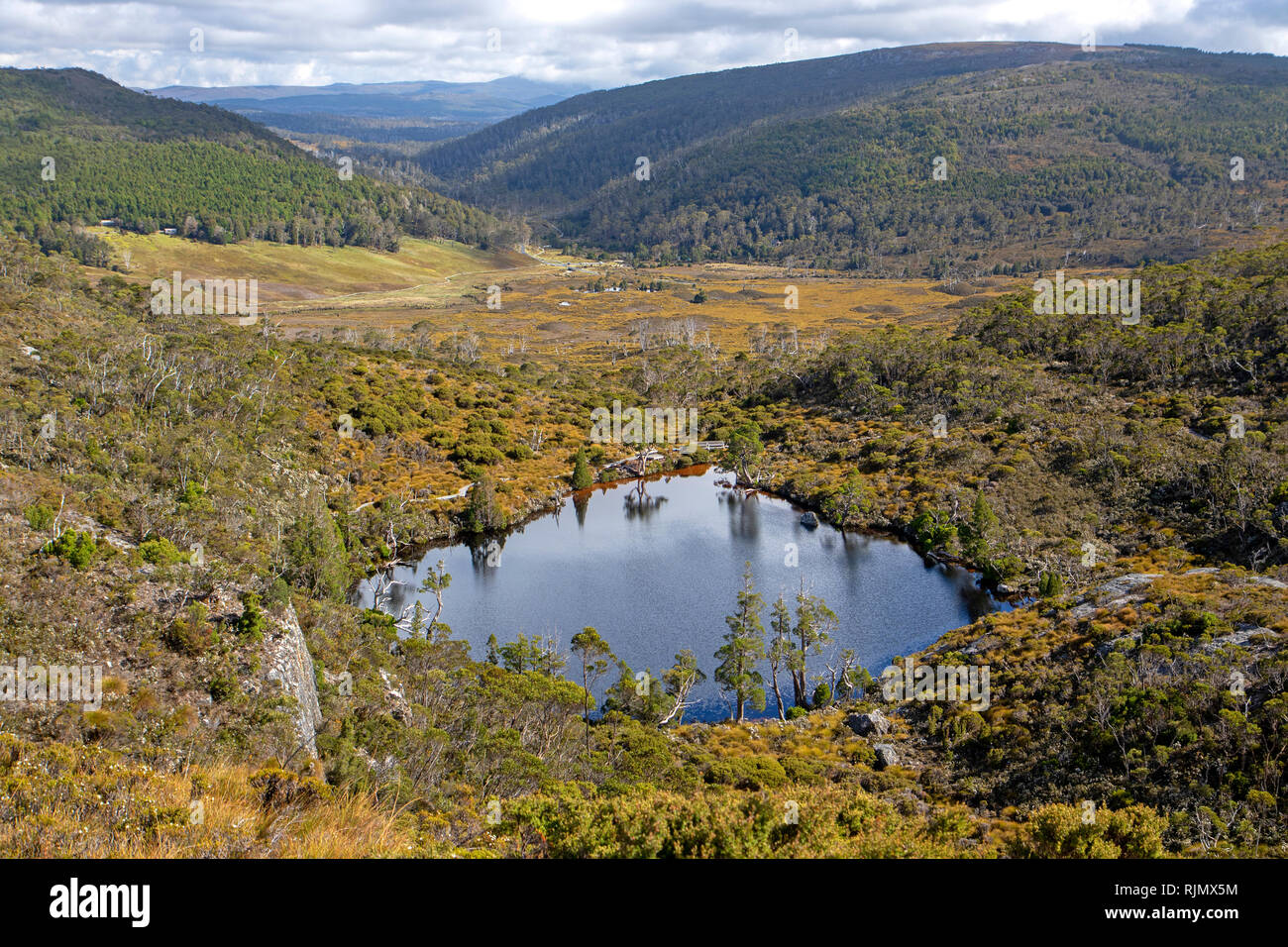 Wombat pool hi-res stock photography and images - Alamy