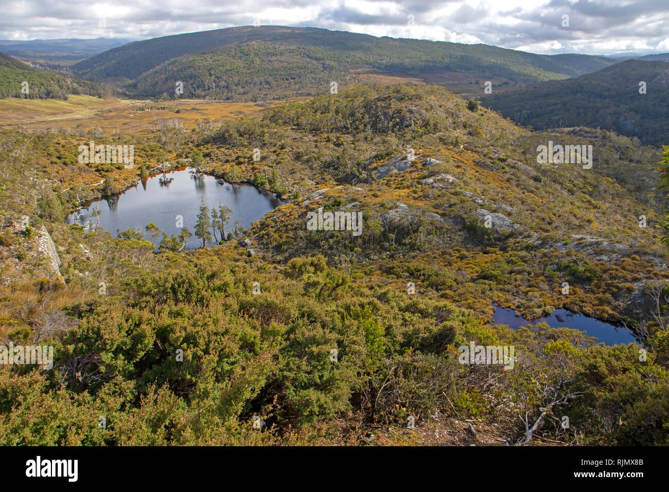 Wombat pool hi-res stock photography and images - Alamy