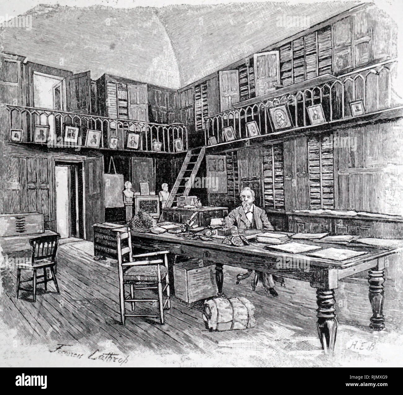 Harvard university library building hi-res stock photography and images ...