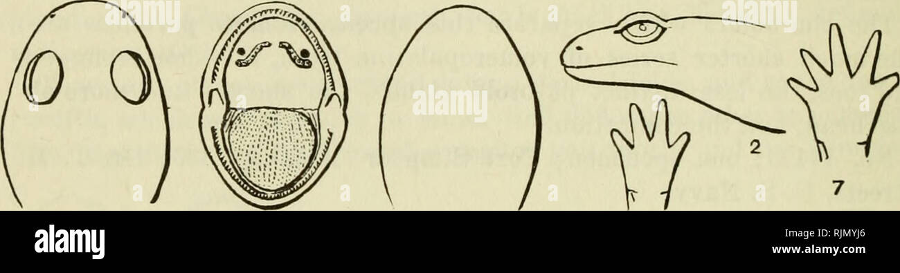 Costal folds hi-res stock photography and images - Alamy