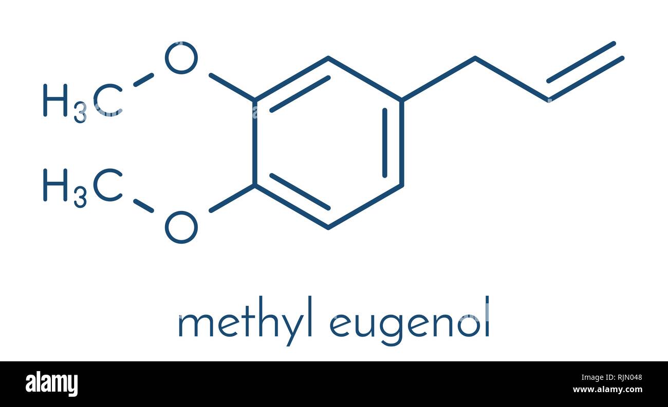 Methyl eugenol molecule. Skeletal formula Stock Vector Image & Art - Alamy