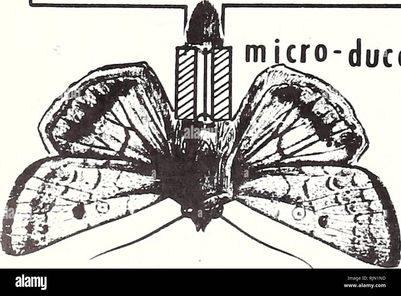 100 ohm hi-res stock photography and images - Alamy
