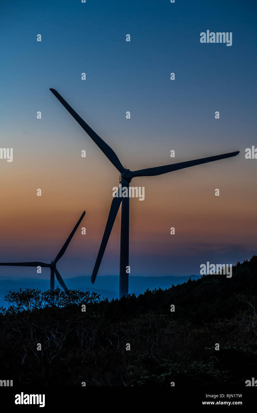 Twilight time. The wind power generators standing at the hill top ...