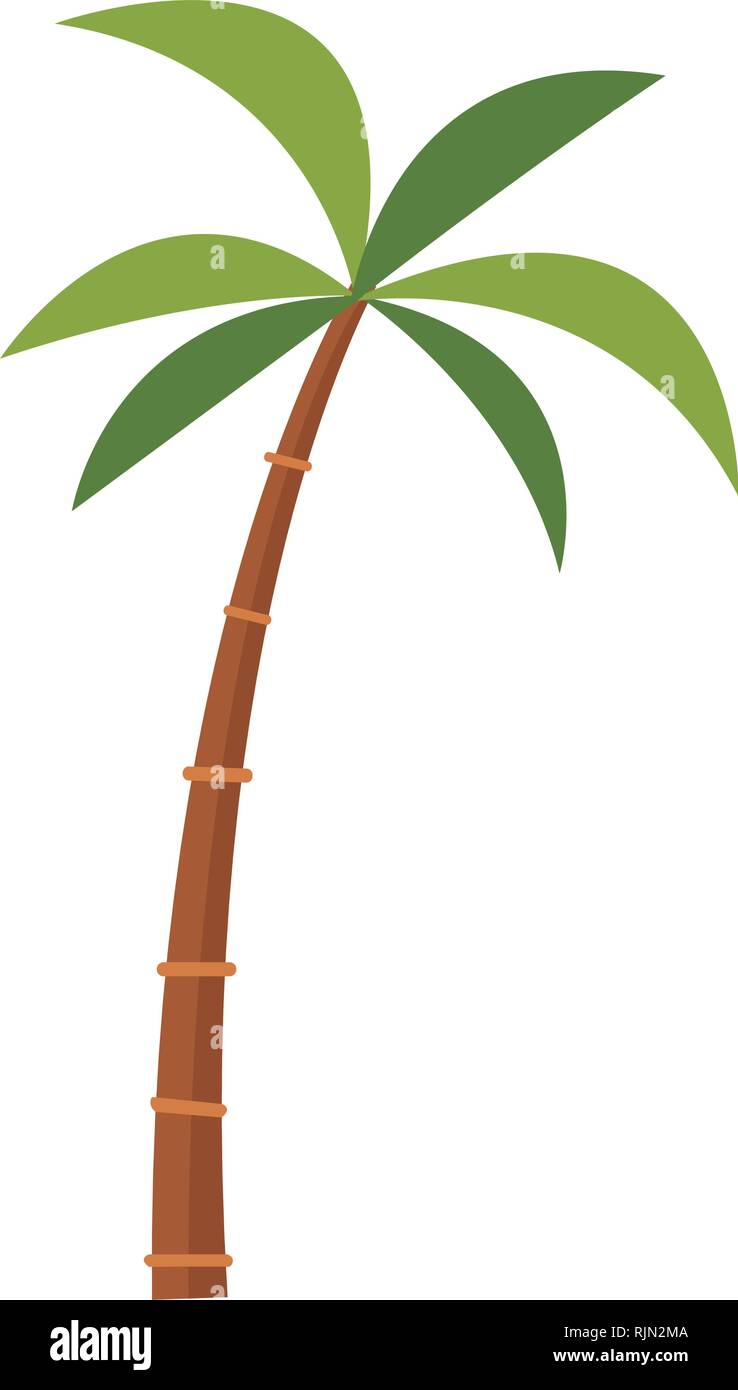 palm tree cartoon Stock Vector Image & Art - Alamy