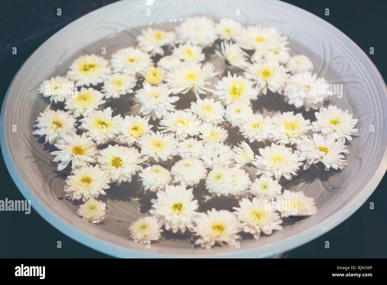 Many flowers float in pots in the hotel Stock Photo - Alamy