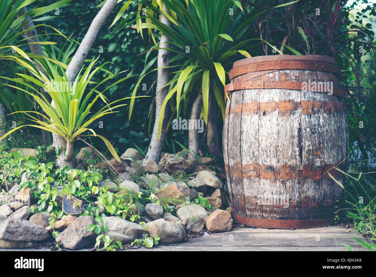 old Oak wood wine barrel Stock Photo - Alamy