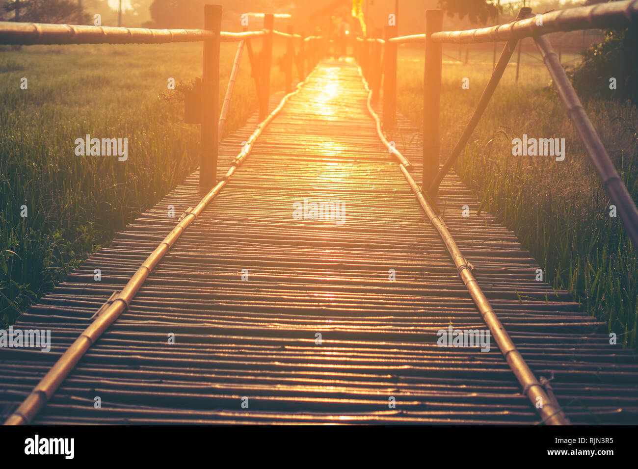 Bamboo bridge walkway, sun light Stock Photo - Alamy