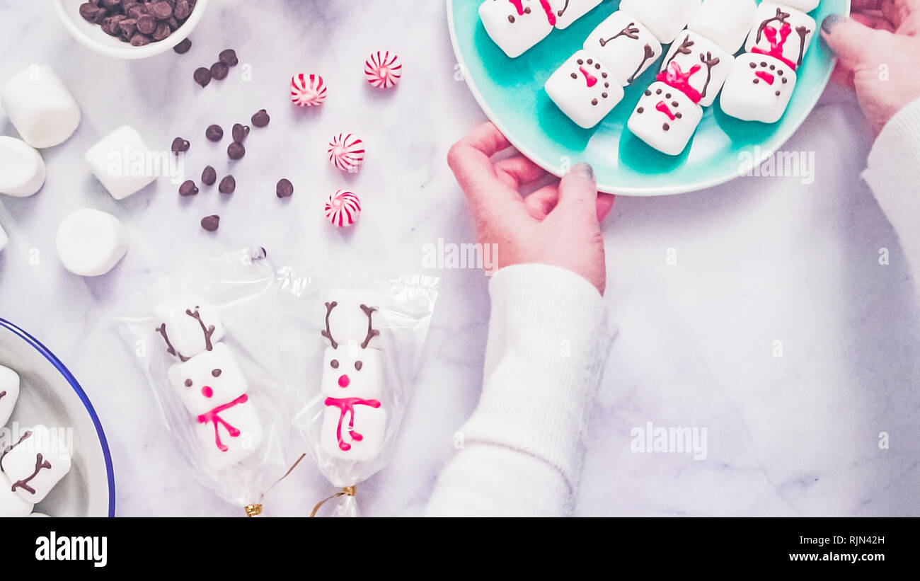 Flat lay. Home made marshmallow snowman and reindeer on stick Stock ...