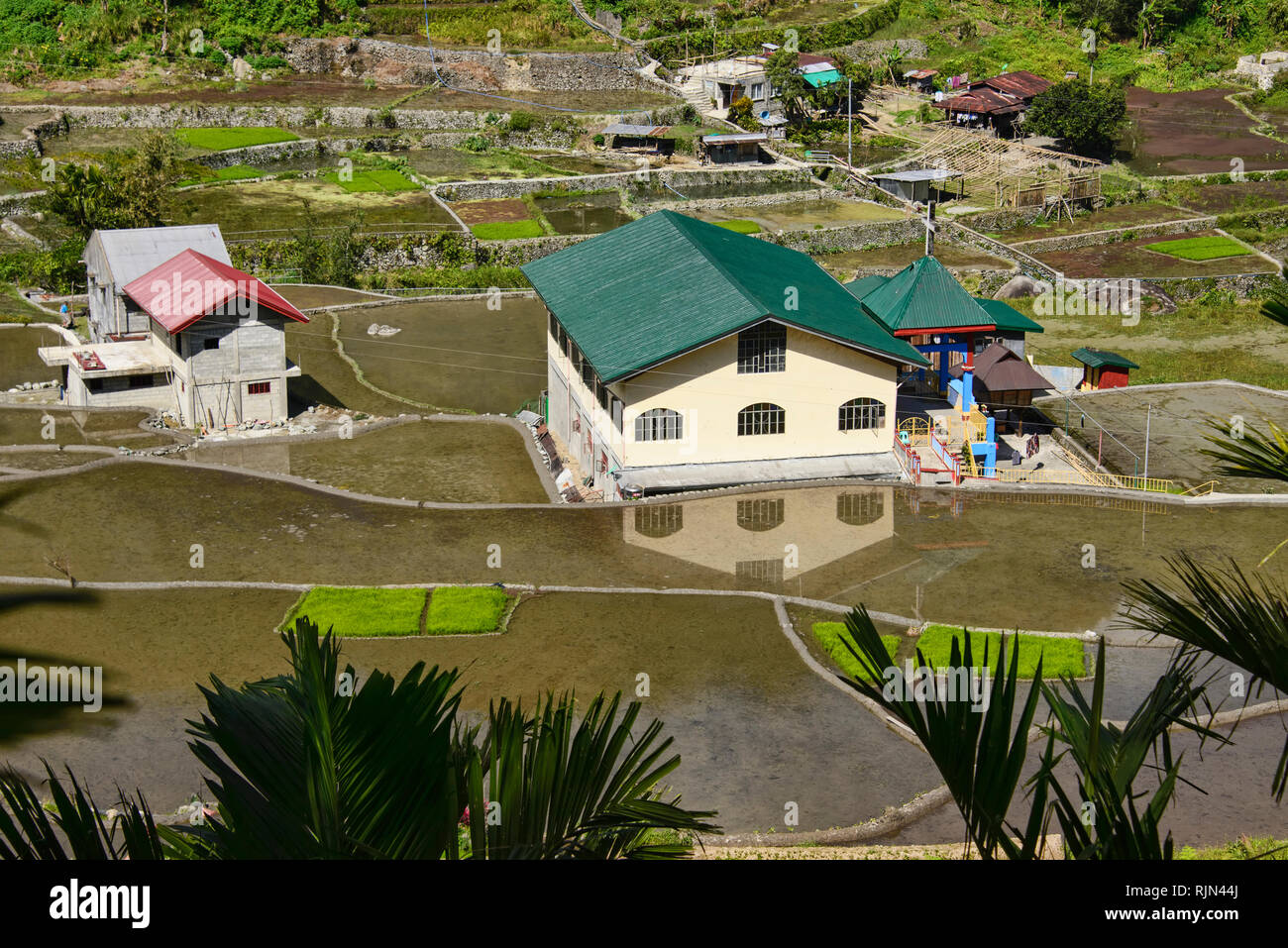 UNESCO rice terraces in Hapao, Banaue, Mountain Province, Philippines ...